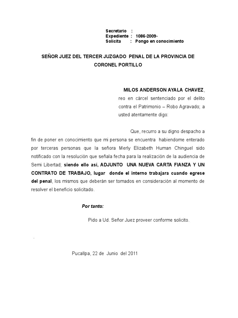 ESCRITO Adjunto Documento | PDF | Instituciones sociales | Ciencias sociales