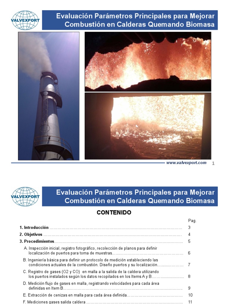 Tema # 1 Mejorar Combustión en Calderas Biomasa | PDF | Combustión | Dióxido de carbono