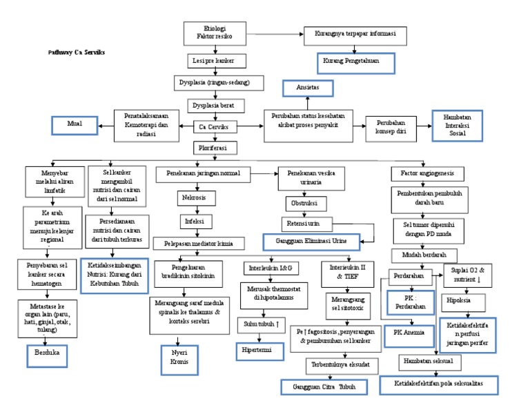 Pathway Patofisiologi Kanker Serviks | PDF