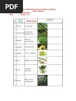 Daftar Lengkap Nama Latin Ilmiah Tumbuhan | PDF