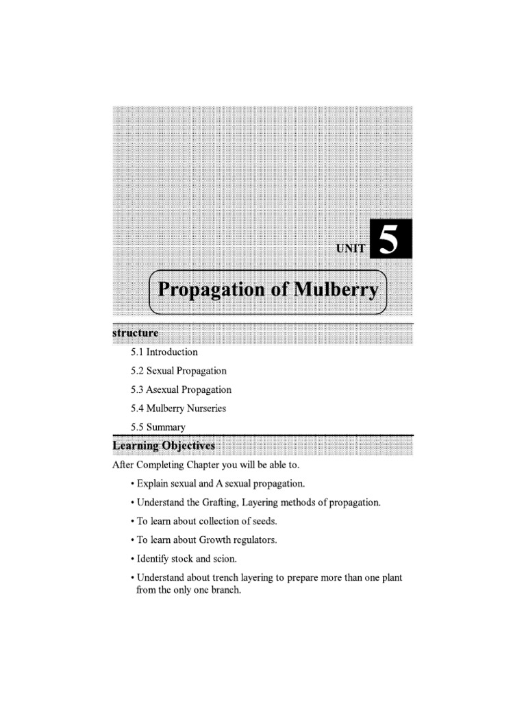 Mulberry 4 | PDF