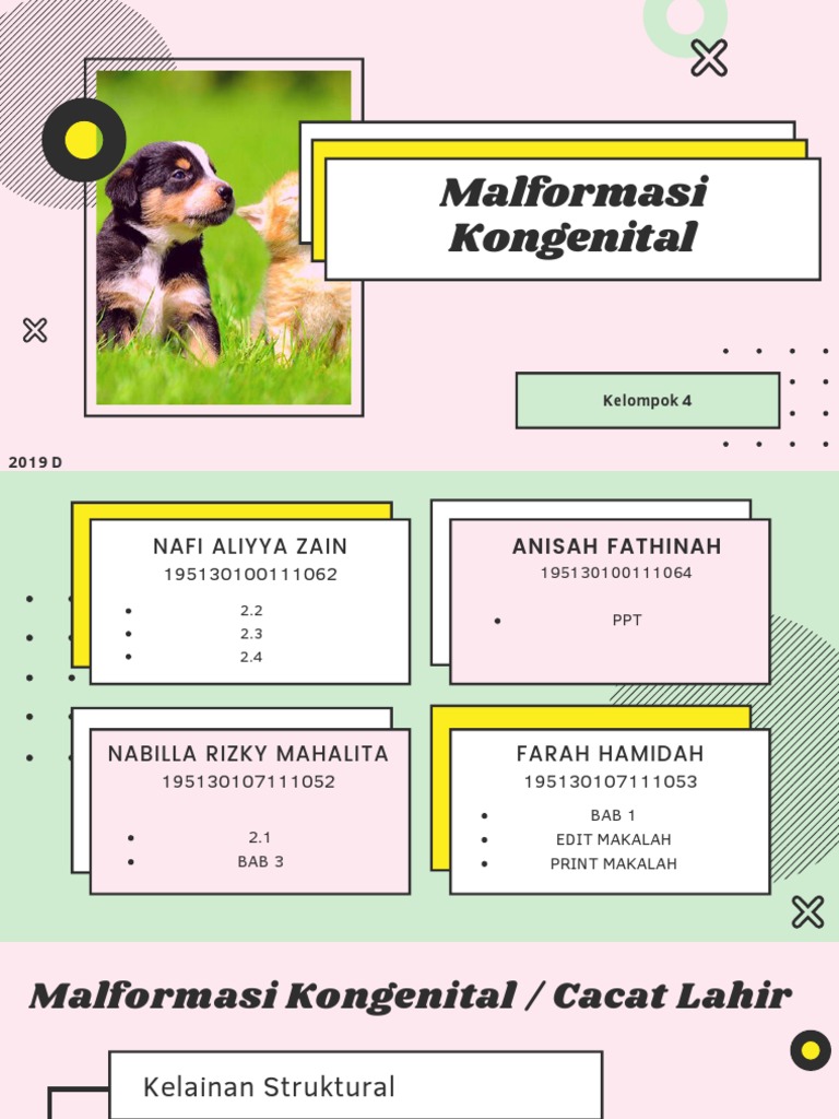 Malformasi Kongenital. Kelompok 4. 2019 D | PDF