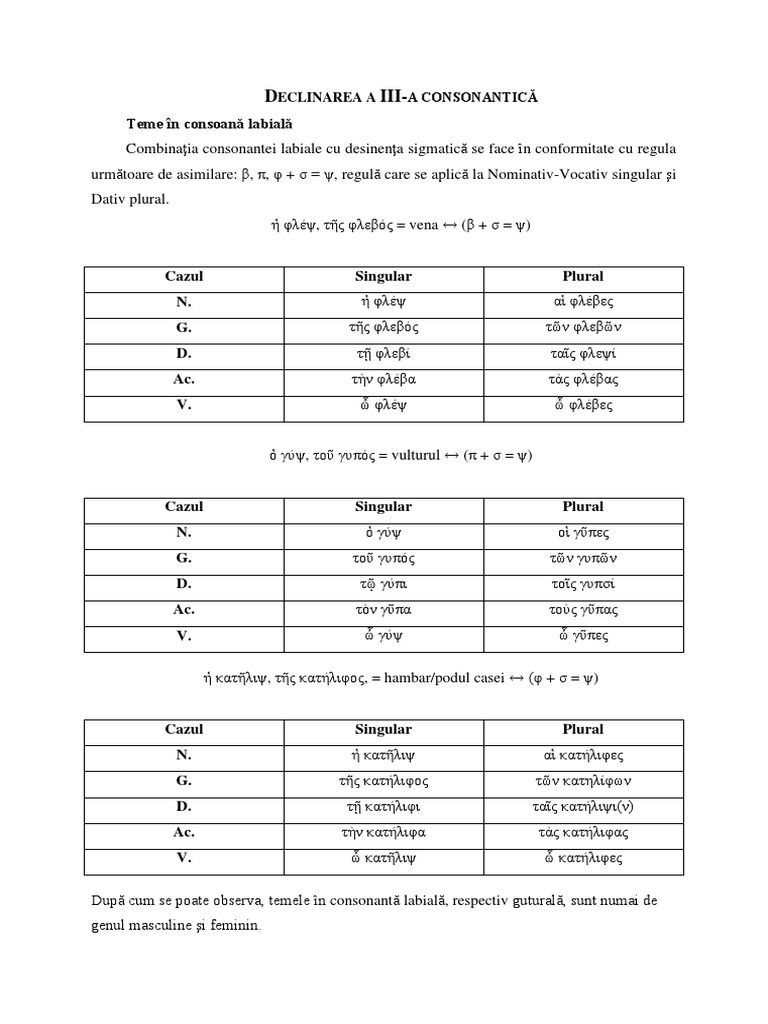 Declinarea A Iii-A (2-3) PDF | PDF