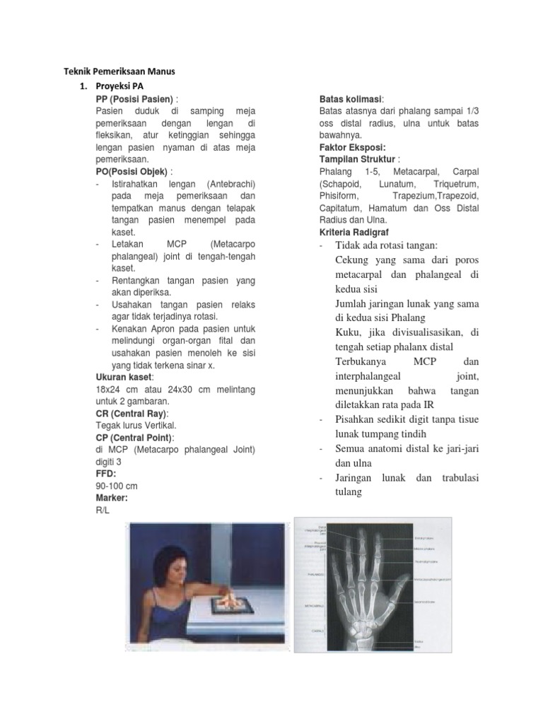 Teknik Pemeriksaan Manus | PDF