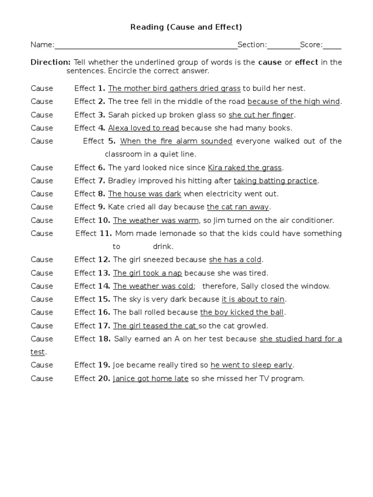 Understanding Cause and Effect: A Reading Comprehension Activity | PDF