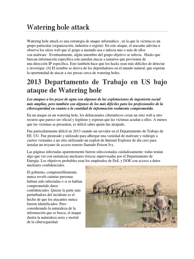 Ataques de Watering Hole: Riesgos y Ejemplos | PDF | Malware | La ...