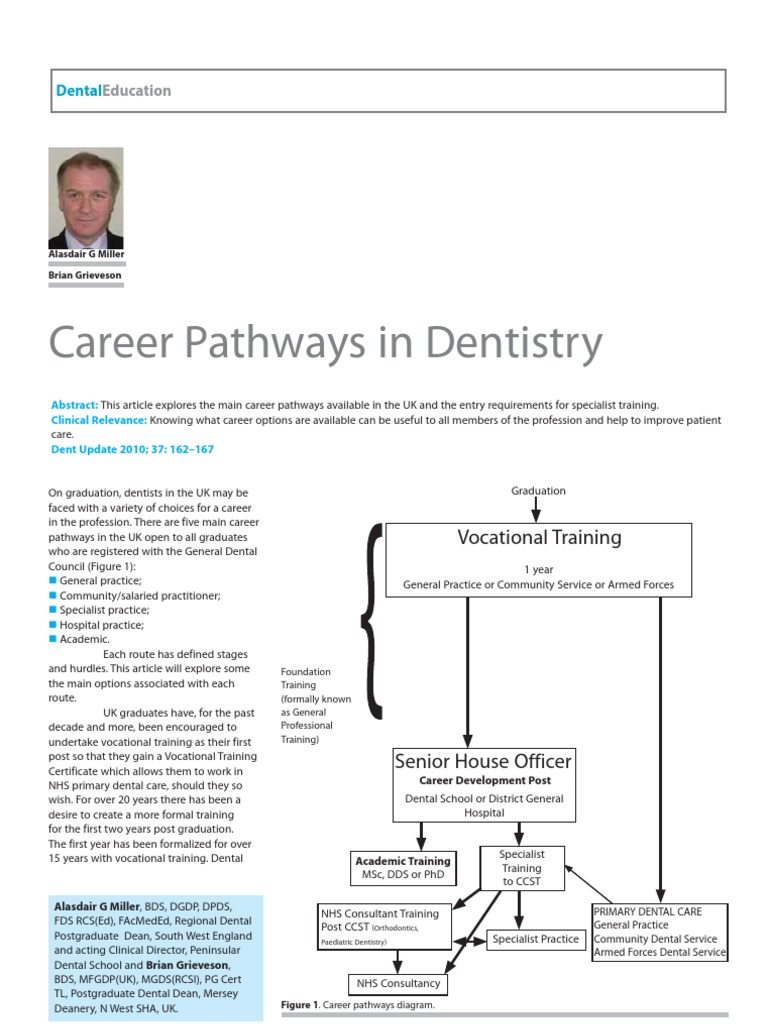 Career Pathways in Dentistry | PDF | Oral And Maxillofacial Surgery ...