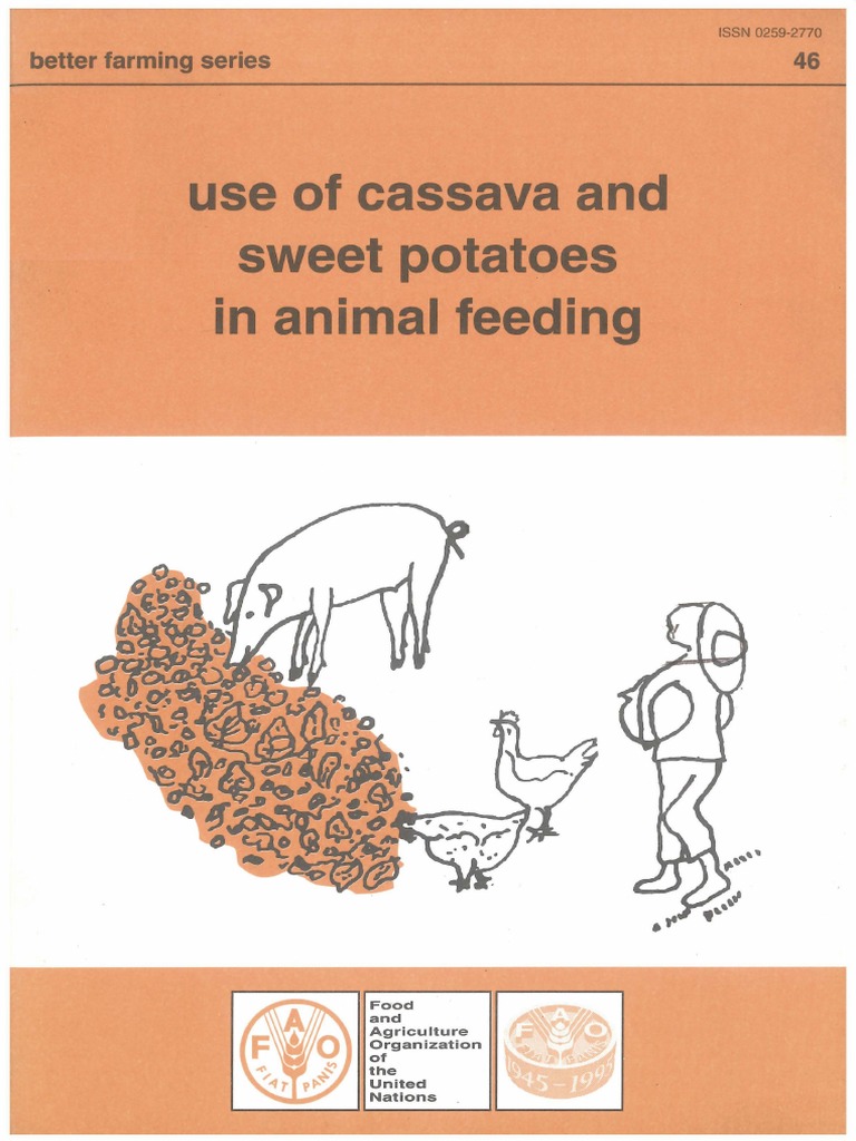 Cassava Feed | PDF | Animal Feed | Potato
