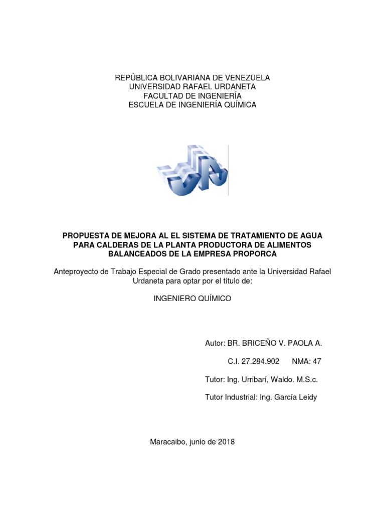 Evaluación de Calderas en Planta ABA | PDF | Corrosión | Caldera