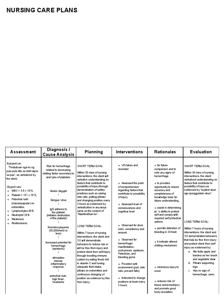 NCP | PDF | Dehydration | Nausea