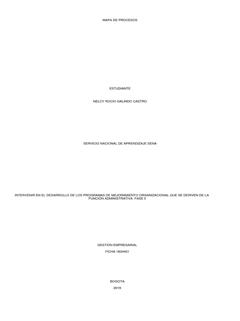 Mapa de Procesos Empresariales Efectivo | PDF | Planificación | Business