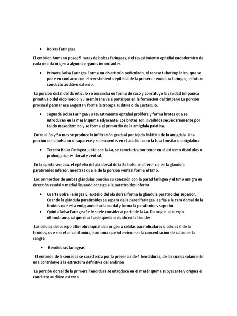 Bolsas Faringeas y Hendiduras Faringeas | Descargar gratis PDF ...