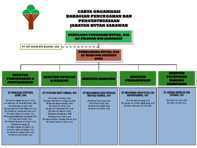 Ped Org Chart 2019 NEW | PDF