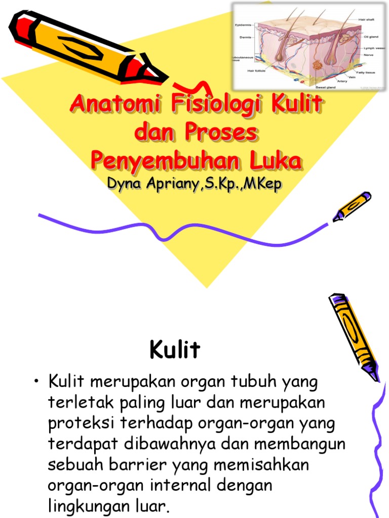 Anfis Kulit & Wound Healing | PDF