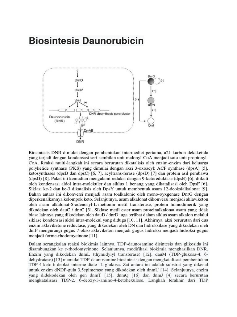 Biosintesis Daunorubicin | PDF | Metode & Bahan Ajar | Sains & Matematika