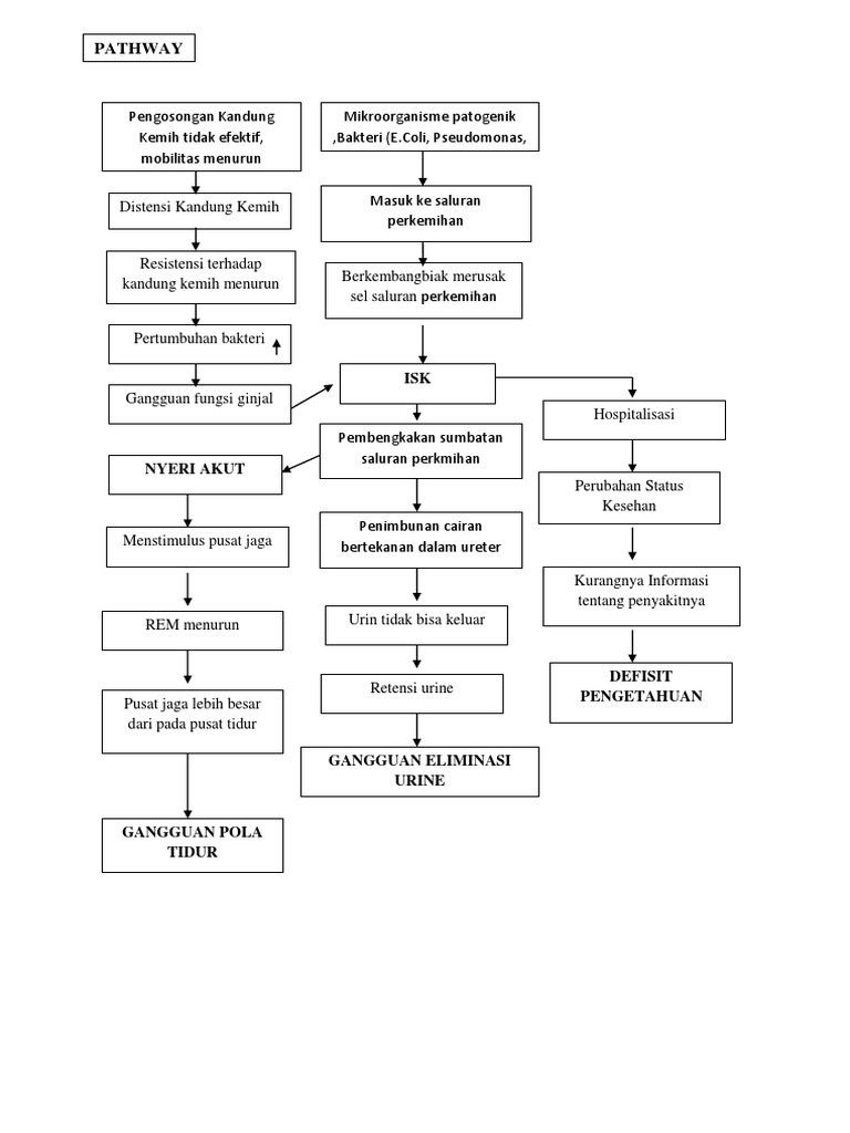 Pathway Isk Fix | PDF