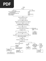 PATHWAY Asma Lengkap | PDF