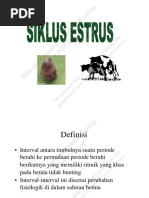 Anatomi Fungsional Organ Reproduksi Sapi Betina | PDF