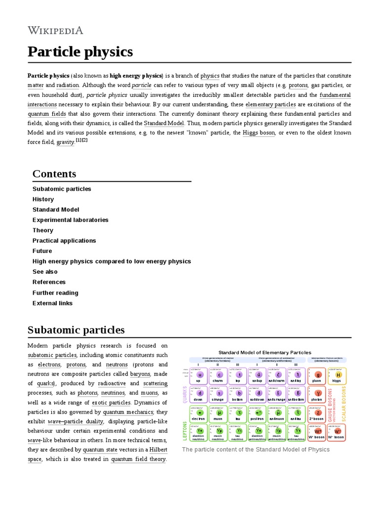 Particle Physics | PDF | Particle Physics | Standard Model