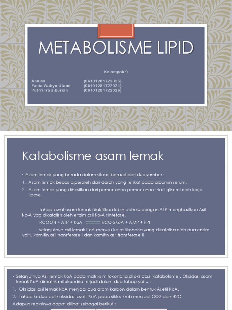 Metabolisme Lipid | PDF