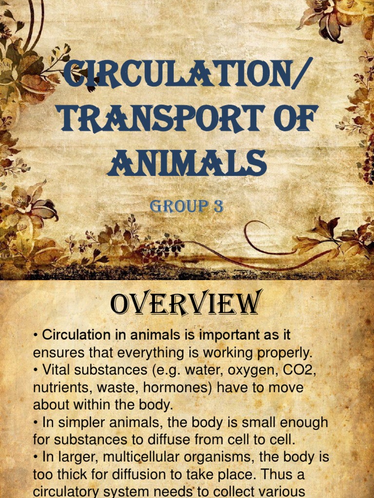 Understanding the Complexities of Animal Circulatory Systems: A Comprehensive Overview of ...