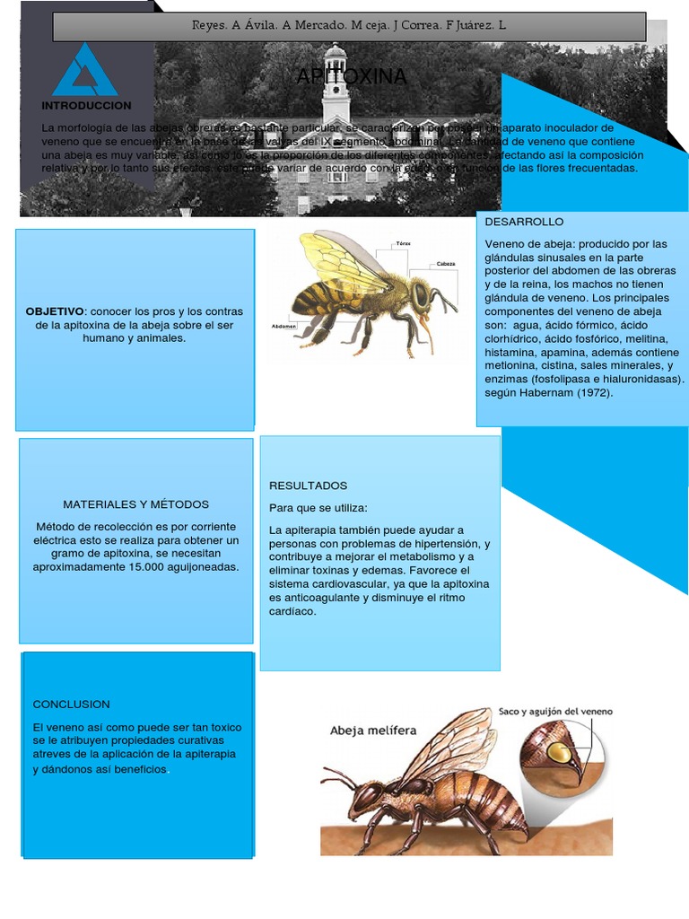 APITOXINA | PDF | Abejas | Animales domesticados