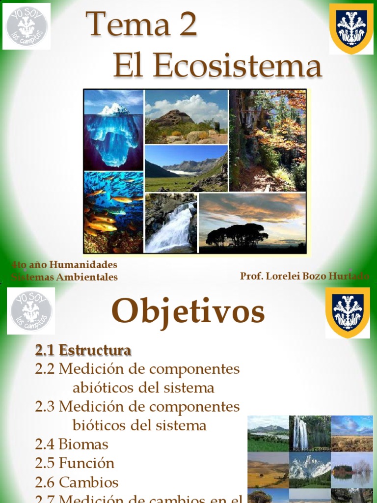Estructura y Componentes del Ecosistema | PDF | Red alimentaria | Biomasa