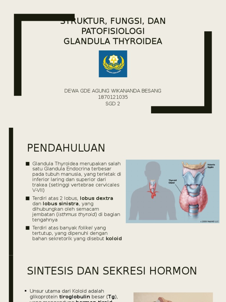 Struktur, Fungsi, Dan Patofisiologi Tiroid | PDF