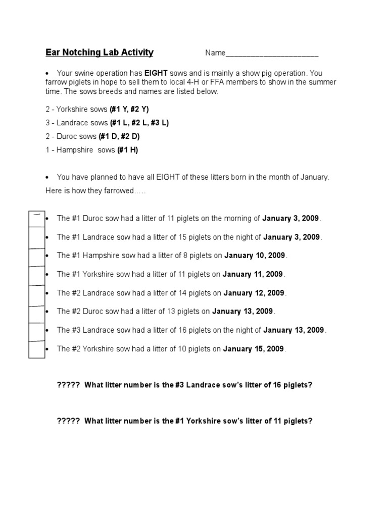 Ear Notching Lab Activity | PDF