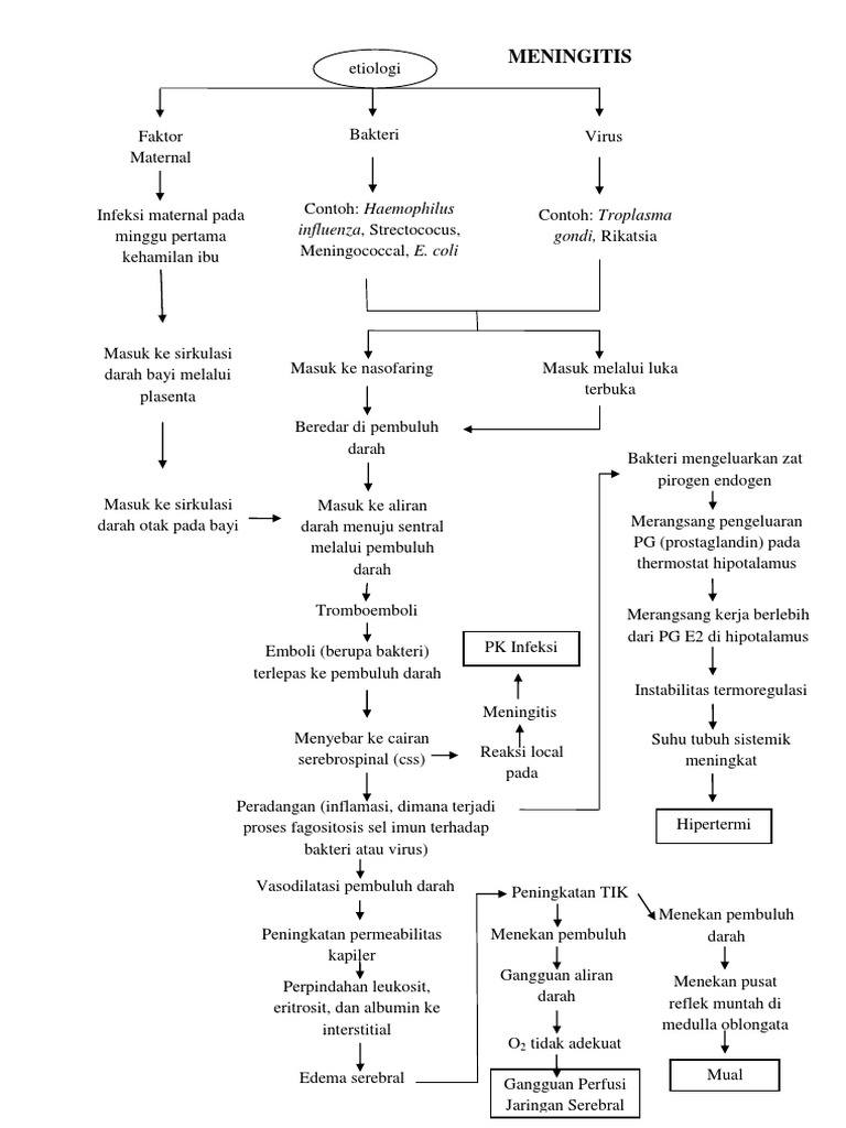 Patofisiologi Meningitis pada Anak | PDF
