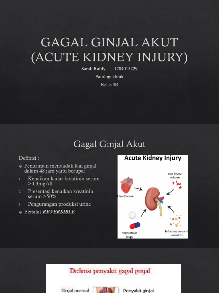 Gagal Ginjal Akut (Acute Kidney Injury) | PDF
