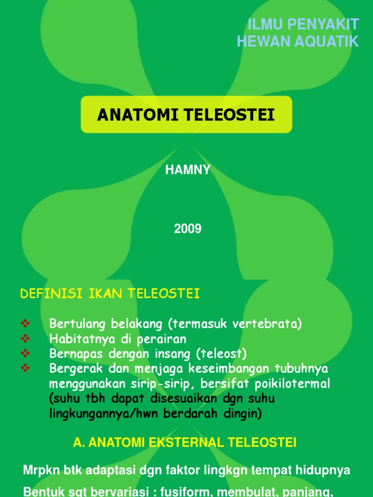 Anatomi Ikan Pdf