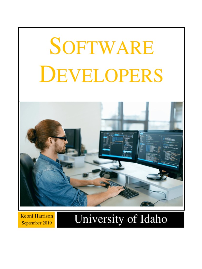 Software Development White Paper | PDF | Programmer | Software Development