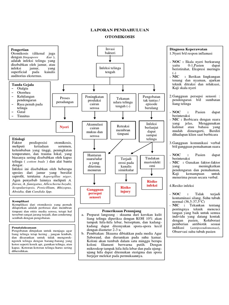 LP Otomikosis Mapping | PDF