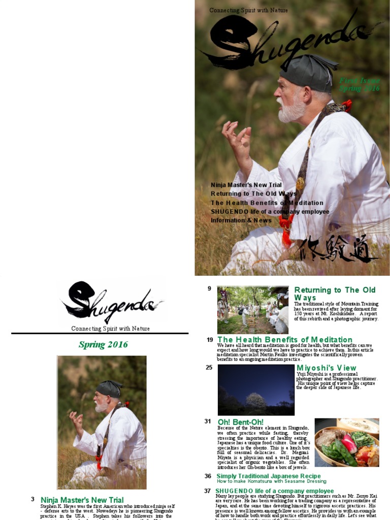Shugendo Vol 1 Free PDF | PDF | Vajrayana | Meditation
