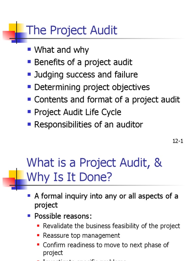22 Project Audit | PDF | Audit | Life Cycle Assessment