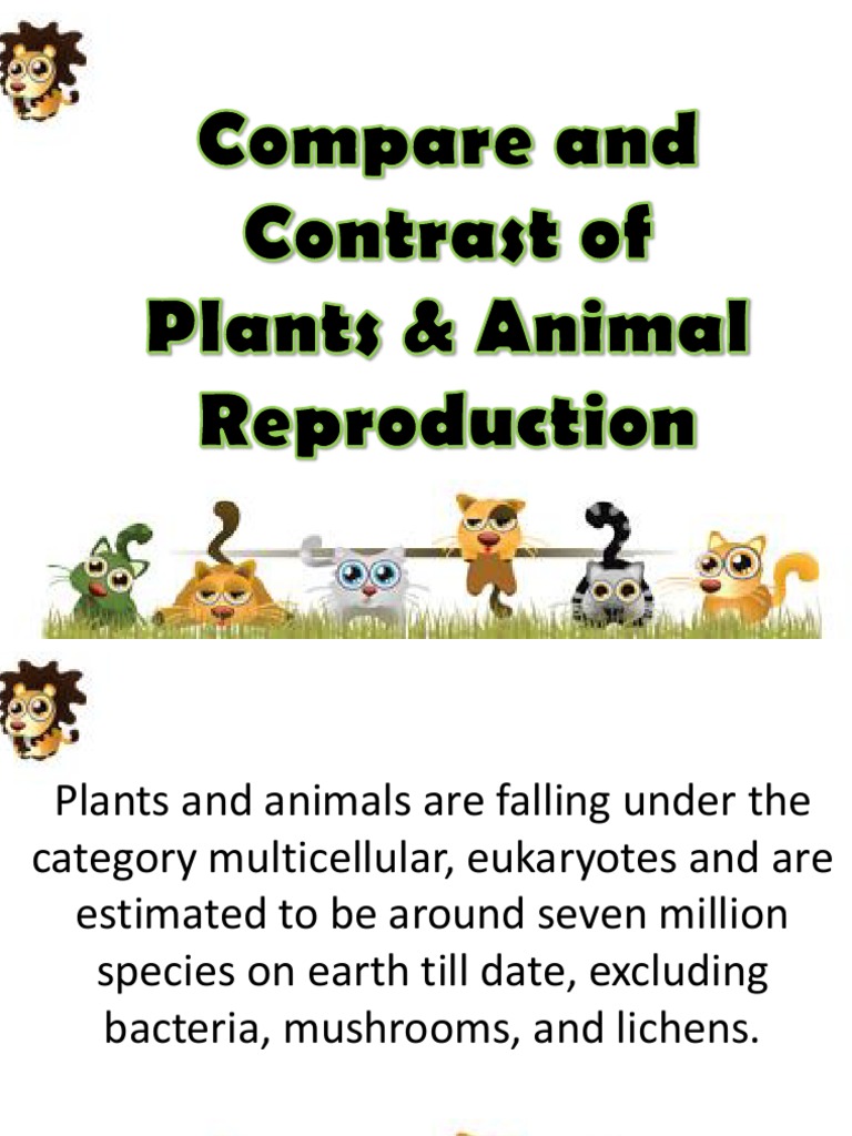 Animals and Plant Reproduction | PDF | Reproduction | Sexual Reproduction