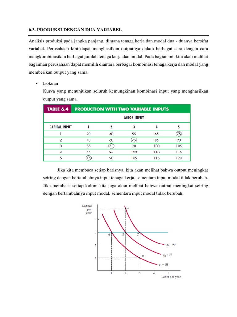 Makalah Produksi Dengan Dua Variabel | PDF