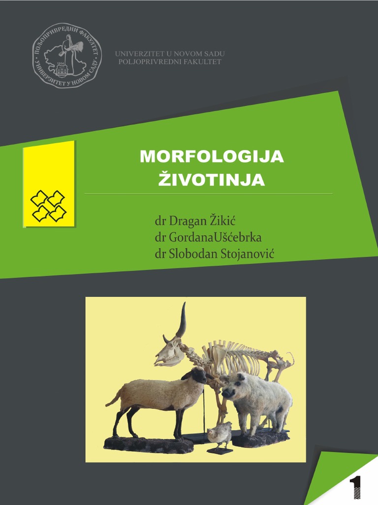 MORFOLOGIJA ZIVOTINJA.pdf