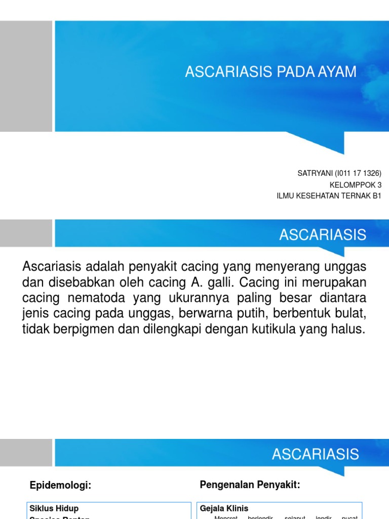 Ascariasis Pada Ayam | PDF | Sains & Matematika | Teknologi & Rekayasa