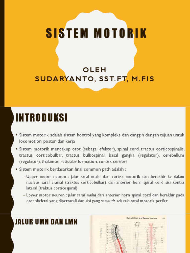 Sistem Motorik | PDF