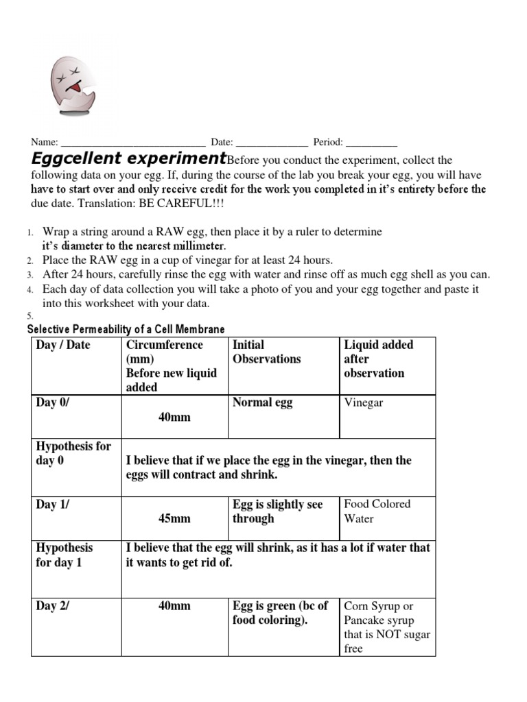 Egg Osmosis Experiment Worksheet | PDF | Cell Biology | Chemistry