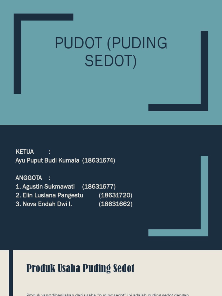 PUDOT | PDF