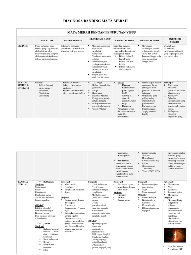 Tabel DD Mata Merah | PDF