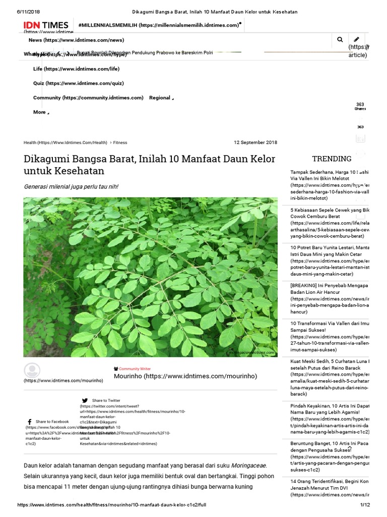 Dikagumi Bangsa Barat, Inilah 10 Manfaat Daun Kelor Untuk Kesehatan | PDF