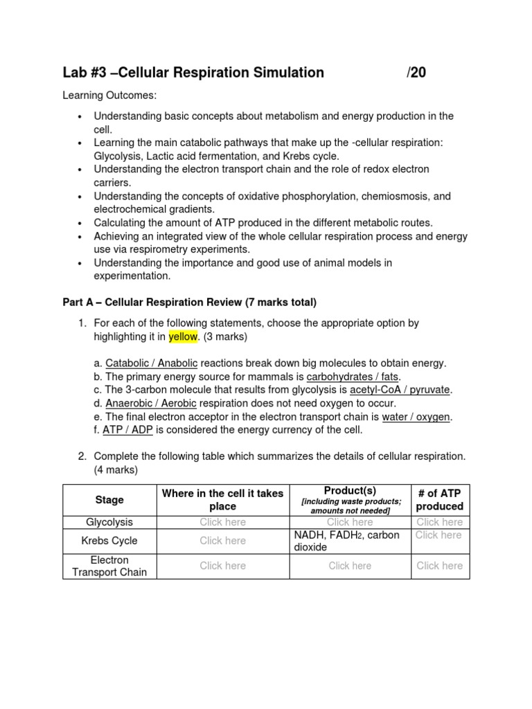 Cellular Respiration Lab Guide | PDF | Cellular Respiration | Cellular ...