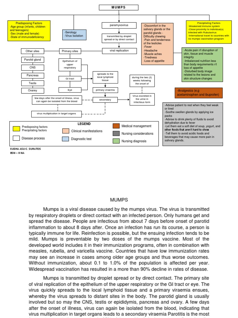 Concept Map - Mumps | PDF | Infection | Veterinary Medicine