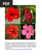 IB Biology IA: Osmosis | PDF | Osmosis | Biology