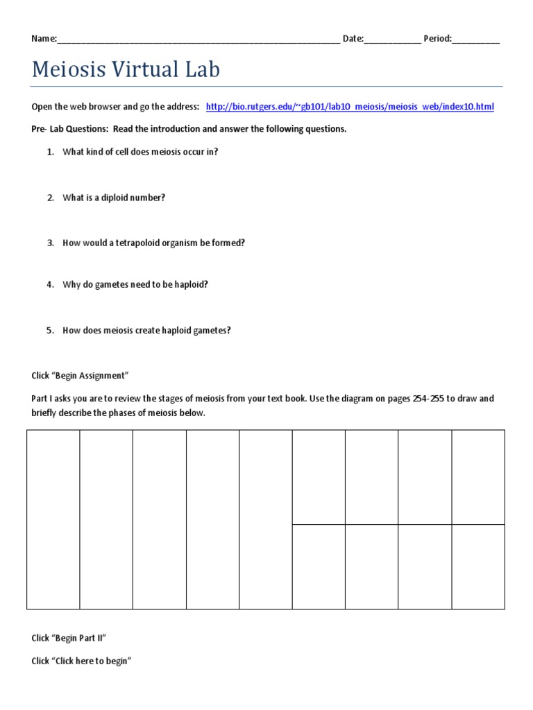 Meiosis Virtual Lab | PDF