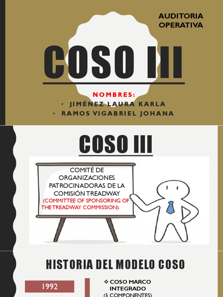 Análisis del Marco de Control Interno COSO III aplicado a una auditoría operativa | PDF ...